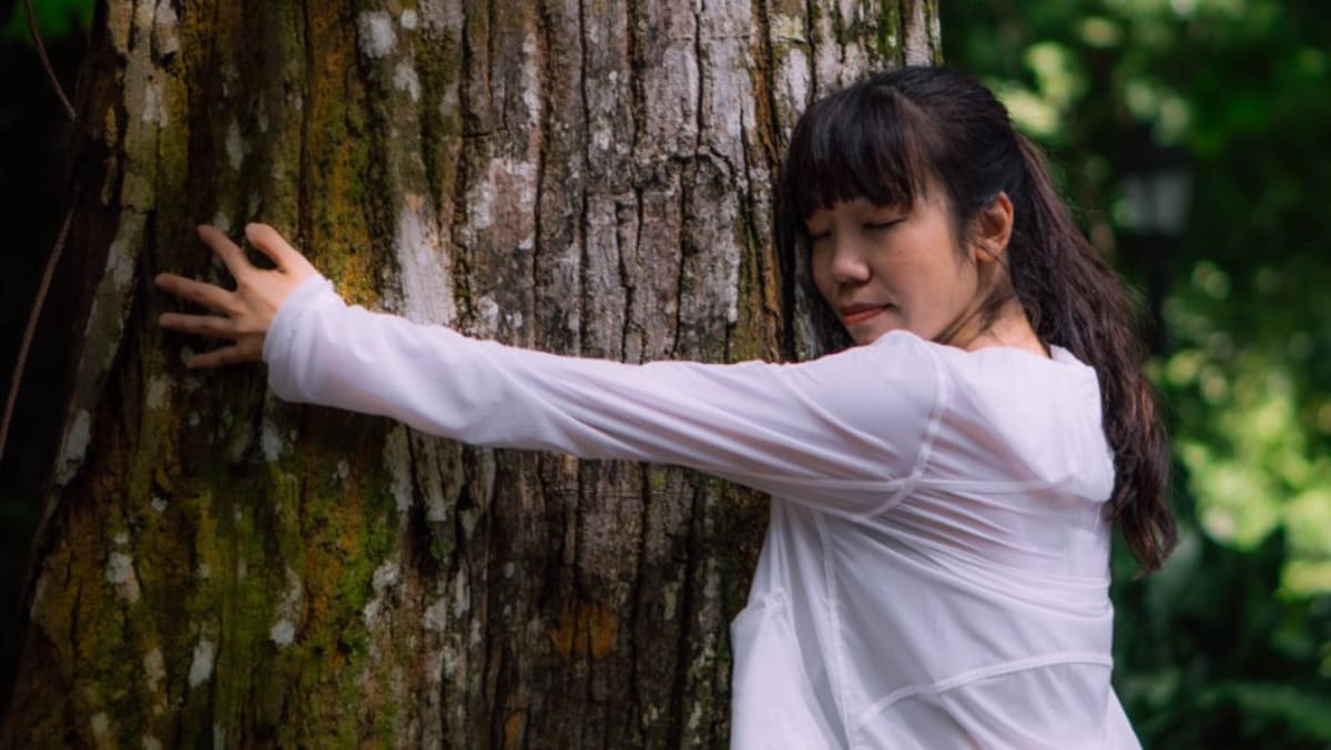 Connecting to nature: Try forest bathing in Singapore - CNA Lifestyle